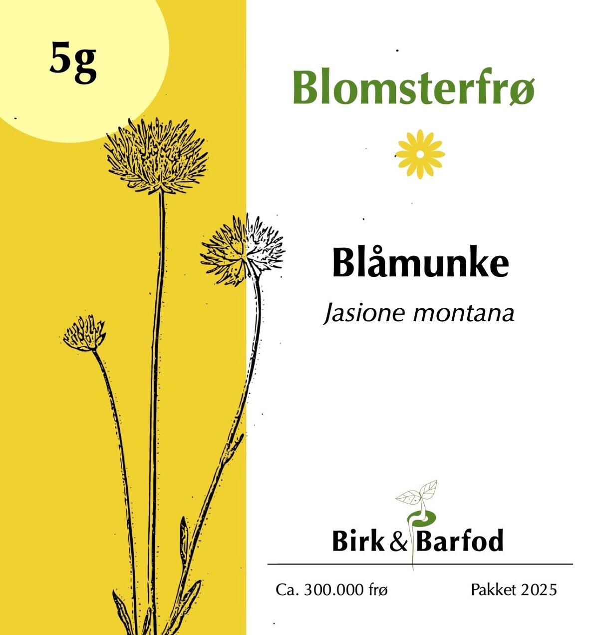 Vilde blomster i store portioner (gram) | Birk & Barfod