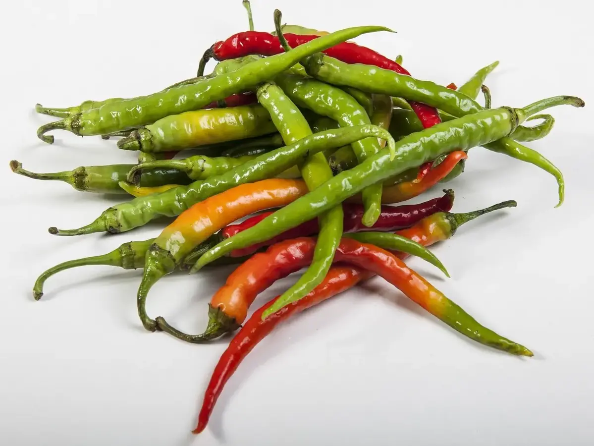 Chili Long slim Cayenne frø