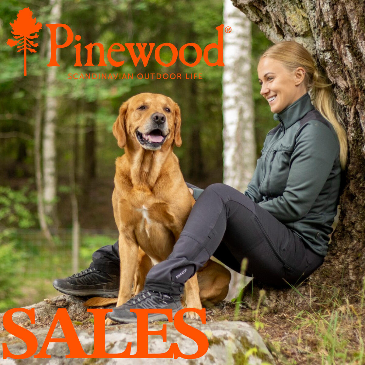 Pinewood sales med store besparelser