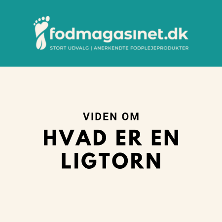Hvad er en ligtorn | Fodmagasinet.dk